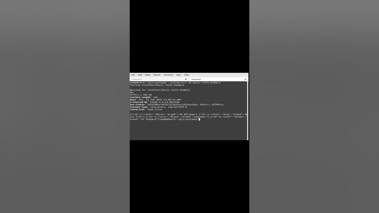 Programming java gradle blade hibernate h2 api - YouTube