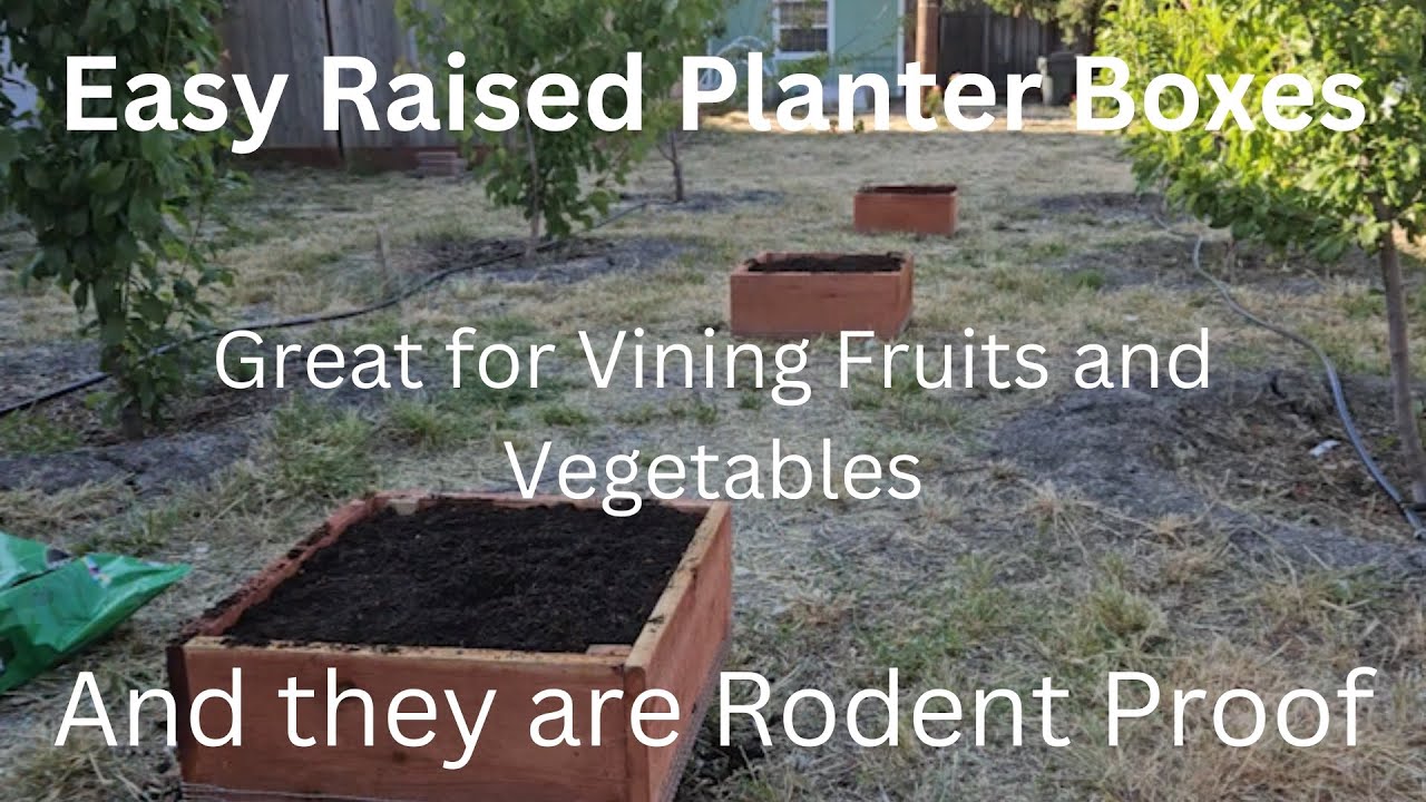 Planter Box - Small Rodent Proof Planter Box - YouTube