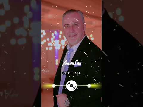 الفنان أصلان جان جه دالالى لعام 2026