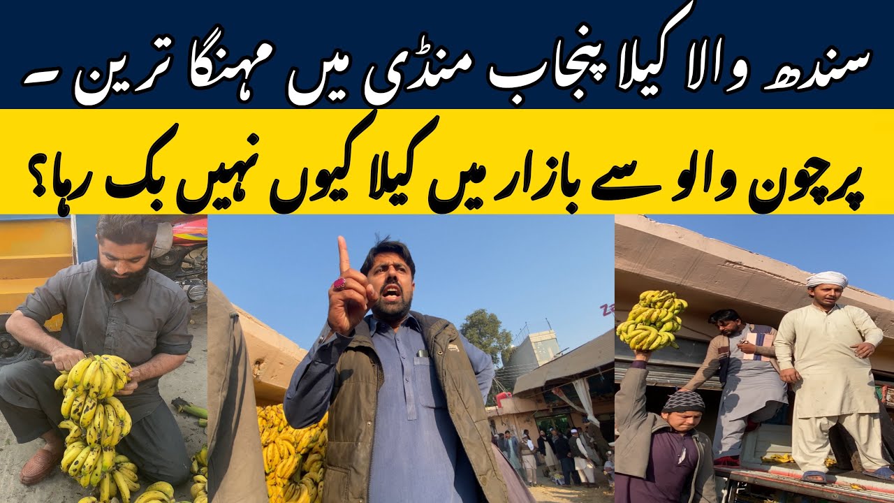 Bananas are expensive in the market and cheap in the bazaar.sindhi ...