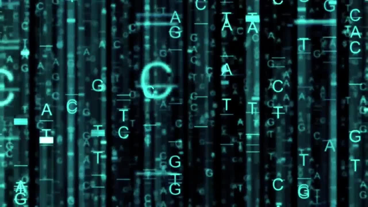 Single case of BV-1 discovered by A&M scientists - YouTube