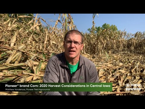 Pioneer® brand Corn: 2020 Harvest Considerations in Central Iowa - YouTube