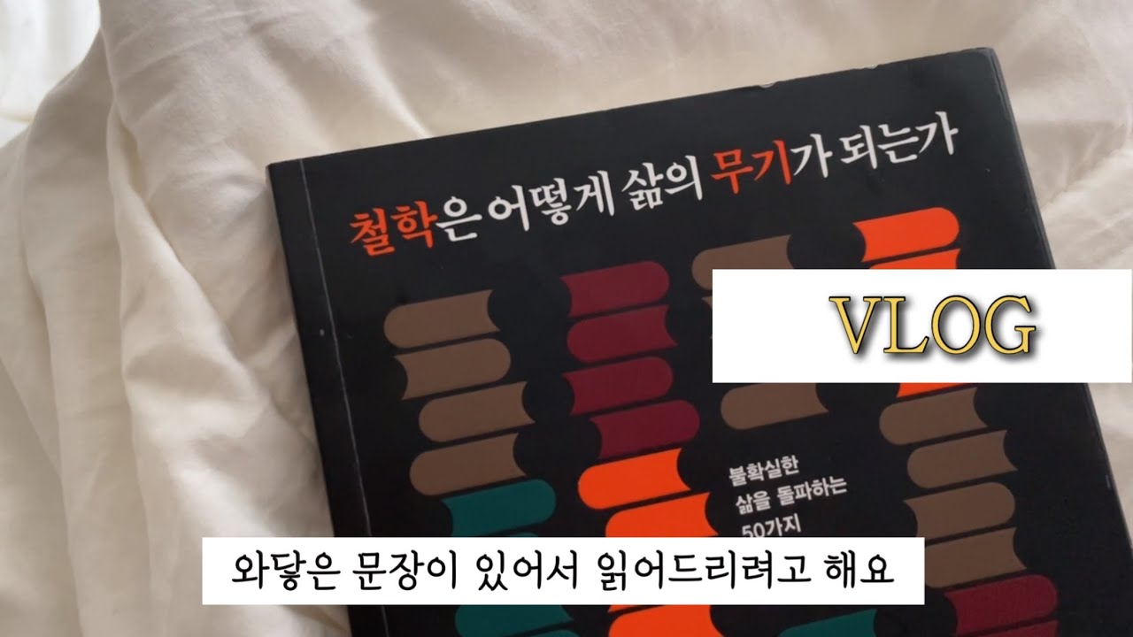 Vlog 우울감 무기력 극복 철학은 어떻게 삶의 무기가 되는가 행복한 몰입과 만족감 조울증 양극성장애 브이로그