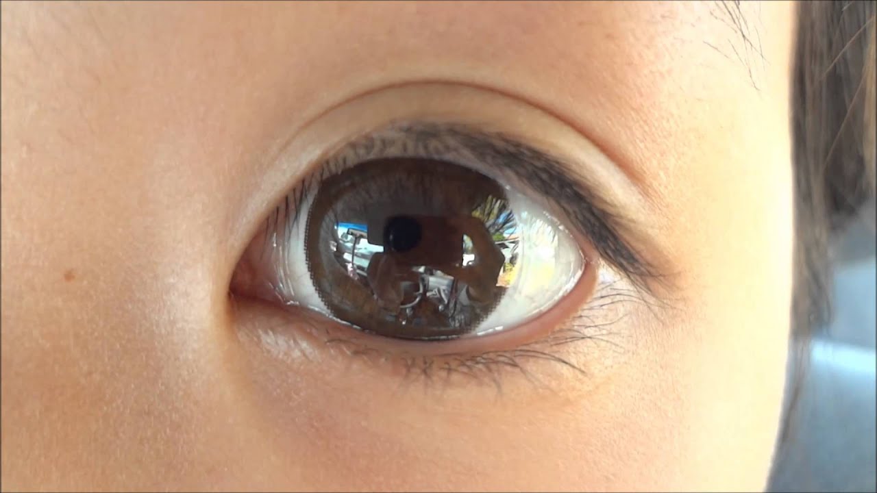 Neo Cosmo - Dali Extra Size Brown - YouTube