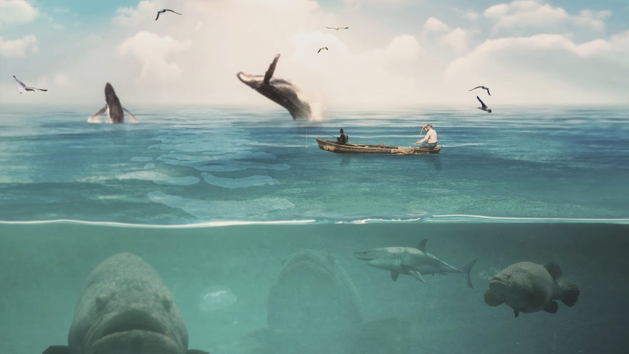 Photoshop para iniciantes Manipulation Underwater - YouTube