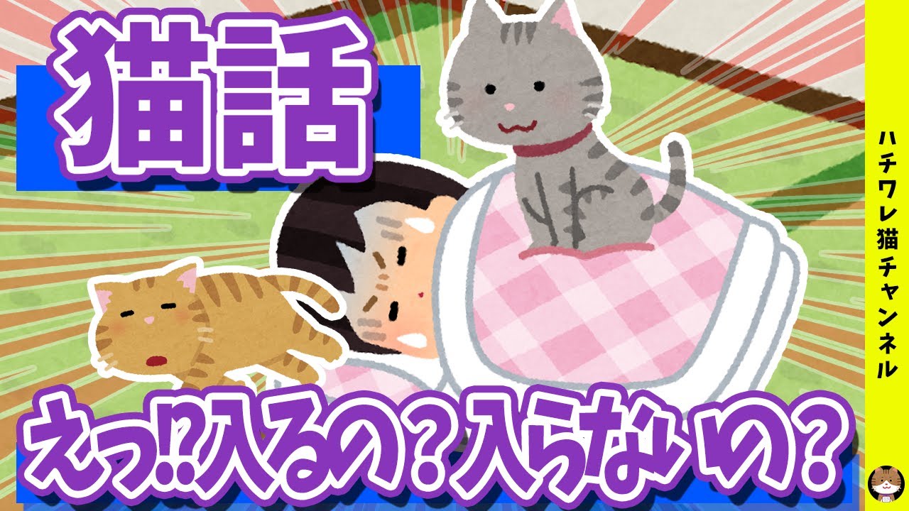 【2ch 面白い スレ】布団に潜り込む猫! 猫話!【ゆっくり】 Youtube