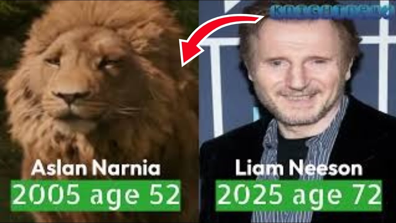The Chronicles of Narnia 2005 to 2025 Then vs Now | How They Have ...