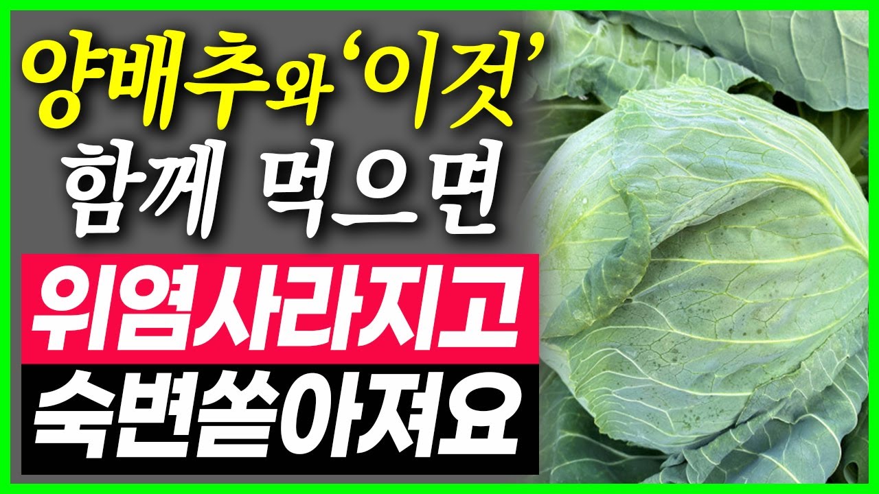 1주일 동안 양배추와 무 이렇게 먹으면 위염 위암에 좋은 보약되요 위장에 좋은 양배추와 무 효능 함께 절대 먹으면 안돼는 음식