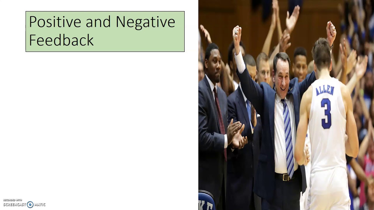 Types of Feedback GCSE PE - YouTube