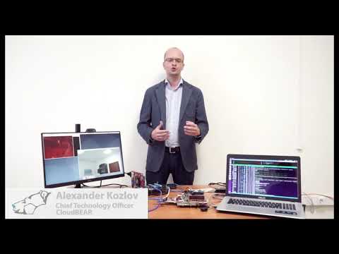 CloudBEAR RISC-V Global Forum Virtual Booth Demo - YouTube