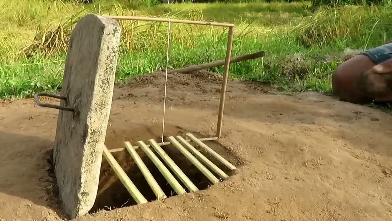 Easy Bird Trap - Simple DIY Creative Bird Trap make from Dead fall Trap Made That Work 100% By ...