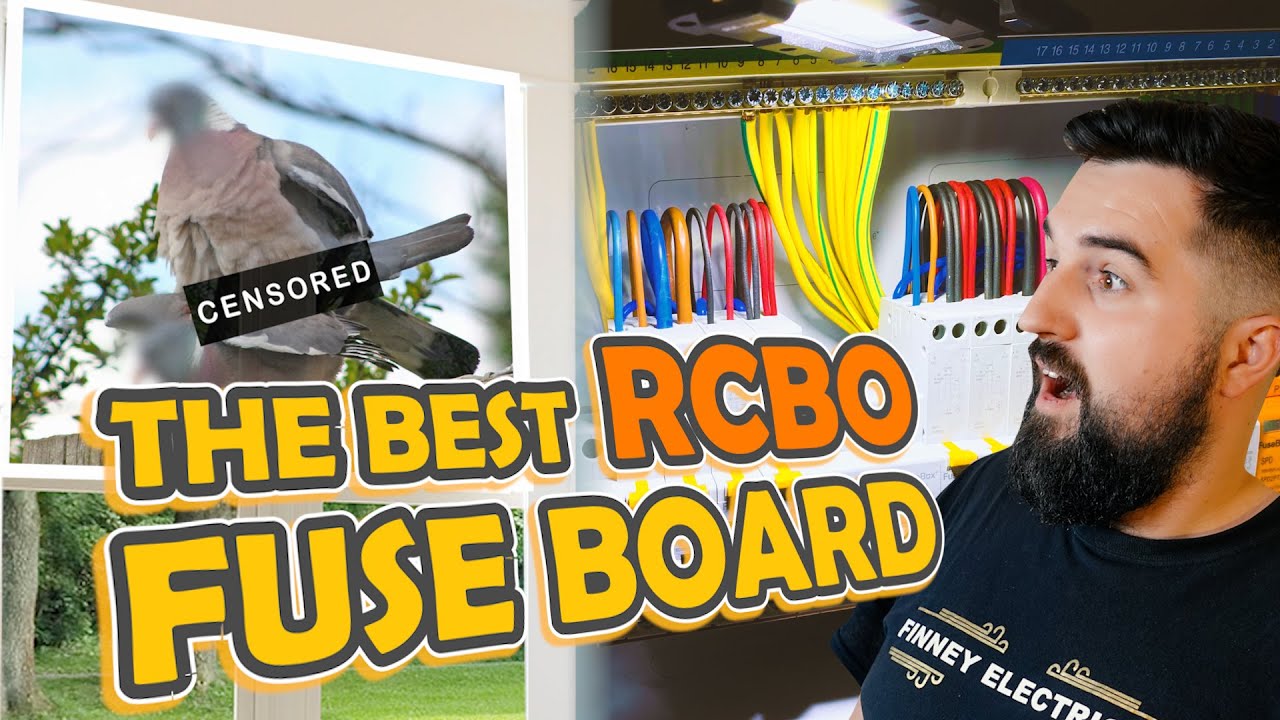 ULTIMATE RCBO FUSE BOARD ⚡ PIDGEON DID WHAT!? - YouTube