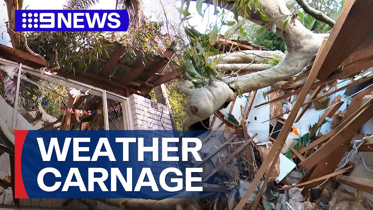Tree crashes into home during wild wet weather in Sydney | 9 News ...