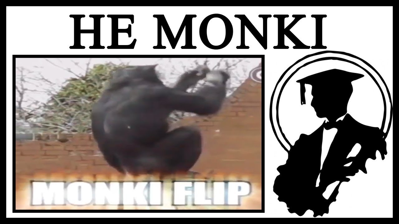 monke flip - YouTube