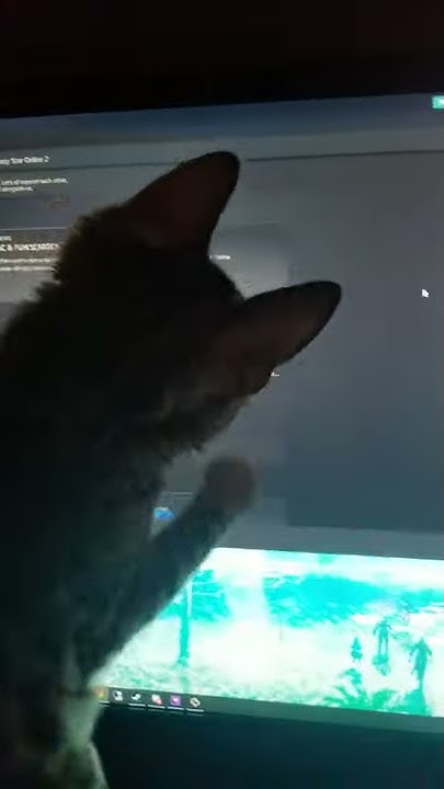 Bengal Cat Following Mouse Cursor Youtube 