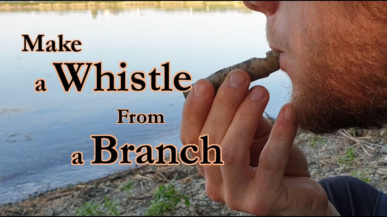 Making a Whistle from a Willow Branch - Bushcraft project - YouTube