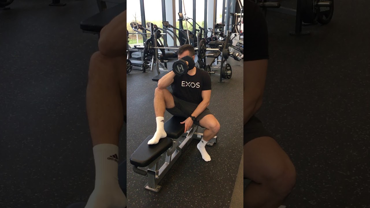 Shoulder external rotation - seated - YouTube