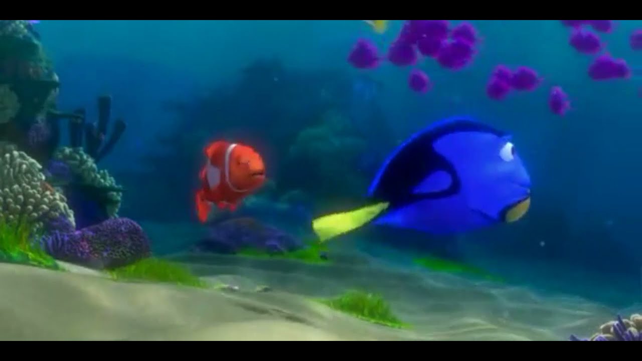 Finding Nemo -dory Short Term Memory Loss - YouTube