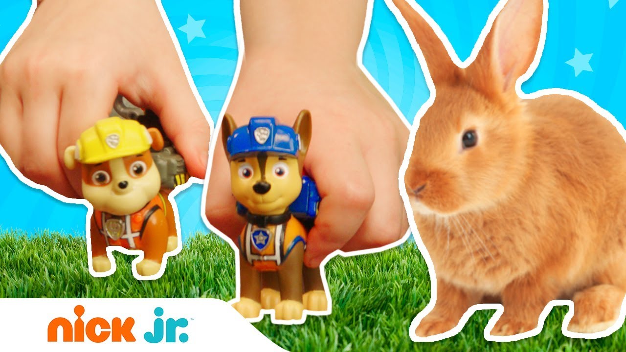 Paw Patrol Fix a Fluffy Bunny Breakout | Toy Farm | Nick Jr. - YouTube