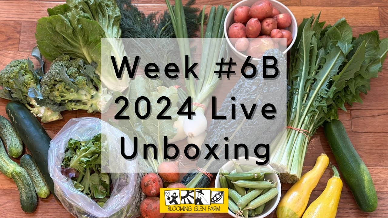 Weekly 2024 CSA Share Unboxing: Week #6B - YouTube