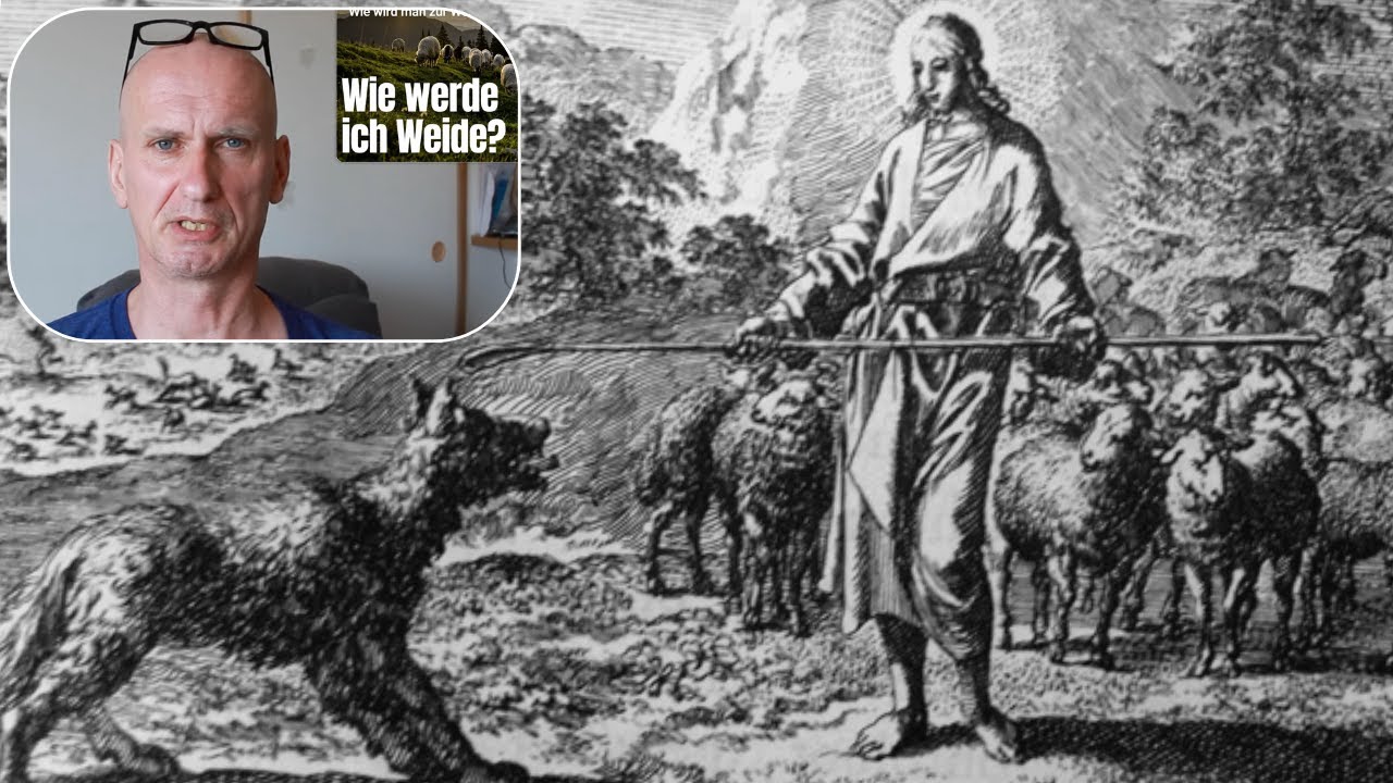 Lieber Wolf als Schäfer!? | #Häppchen 1239 - YouTube