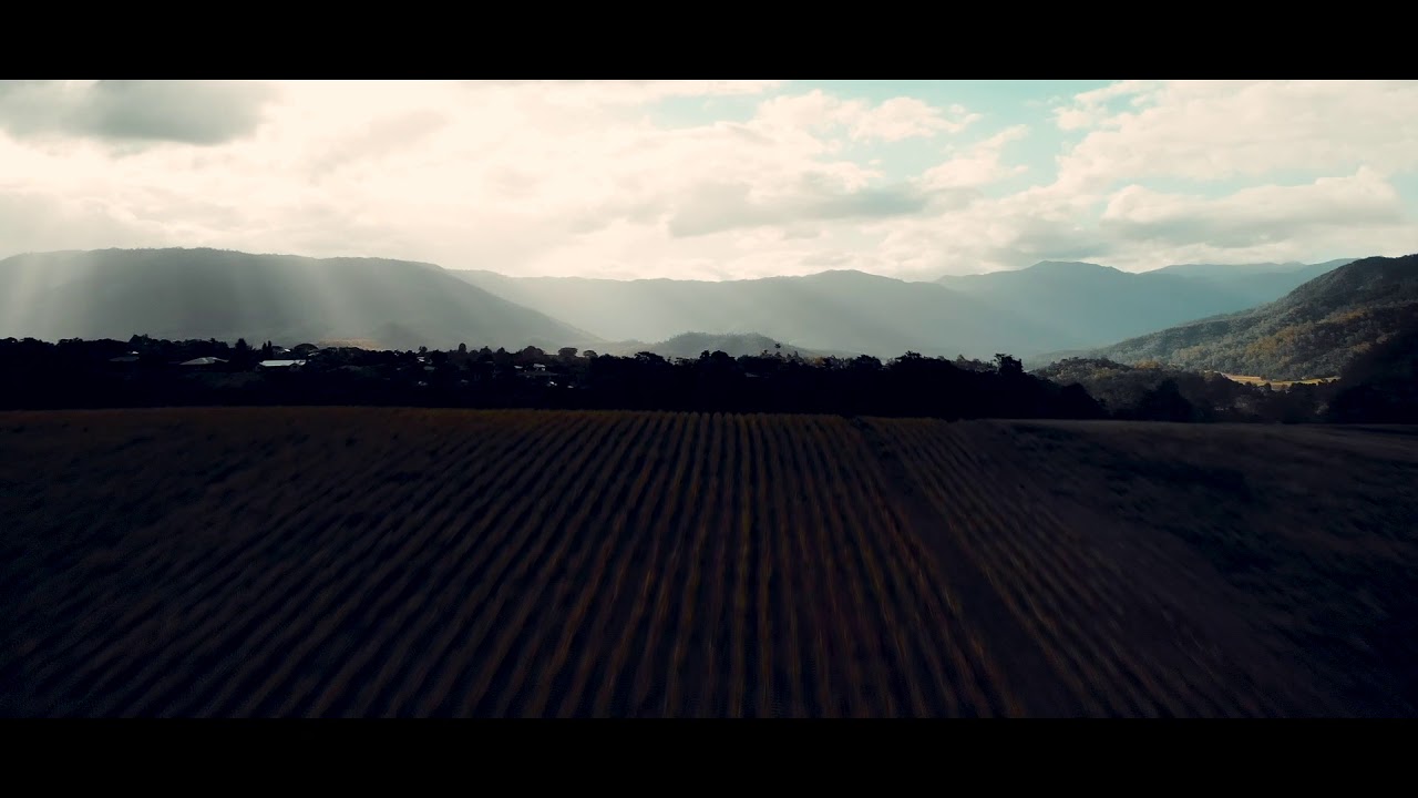 It's a Birds World | Sam Kolder's LUTS - YouTube