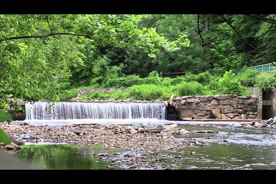 Rock Creek Fish Ladder - YouTube