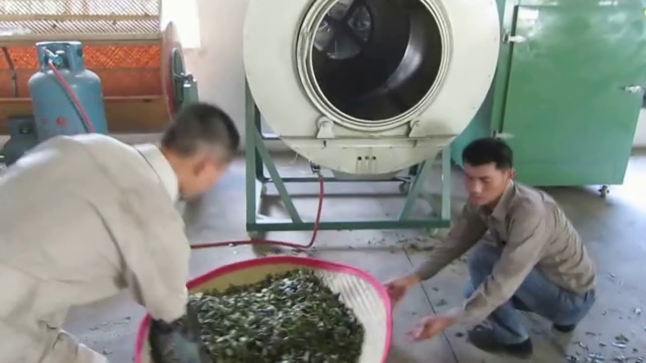 Tea roasting machine Tea rolling machine - YouTube