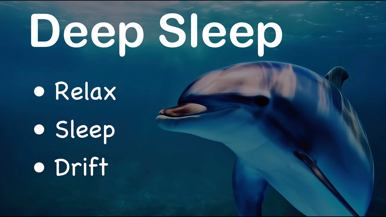 Deep Sleep & Relaxation • Underwater Ambience & Dolphin Sounds - YouTube