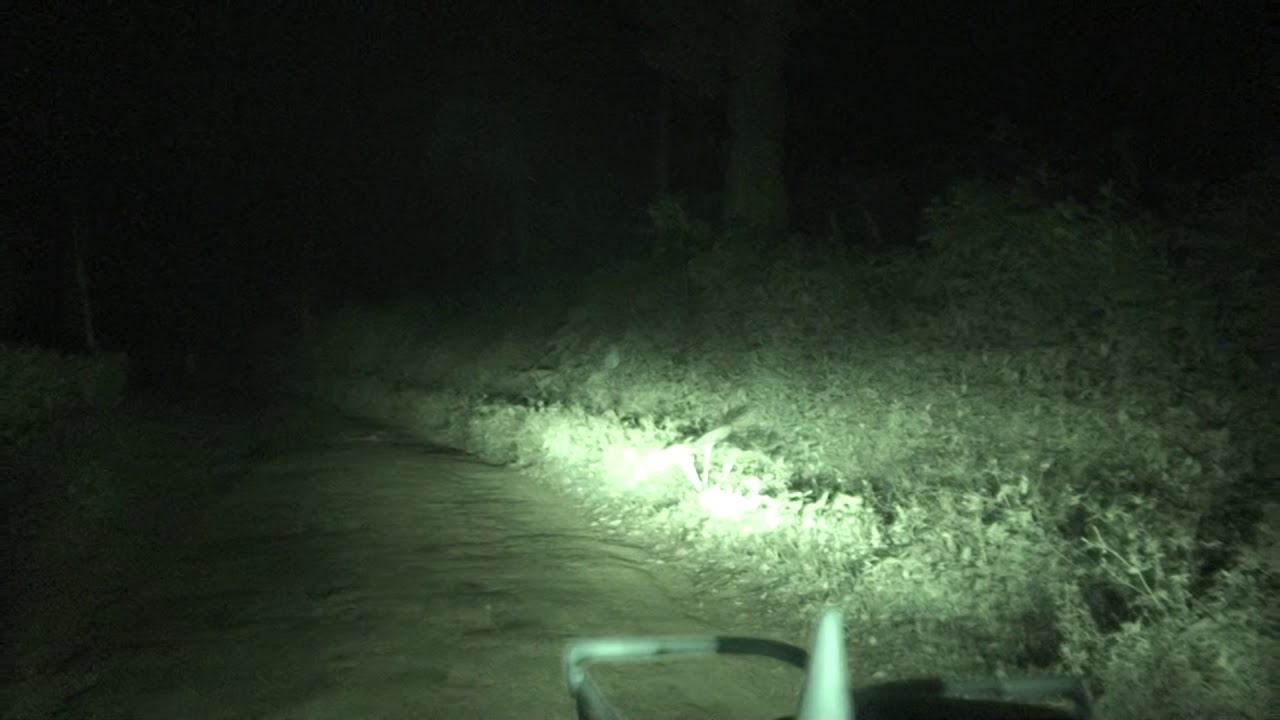 Ghost sighting on the way from chikmagalur to bangalore - YouTube