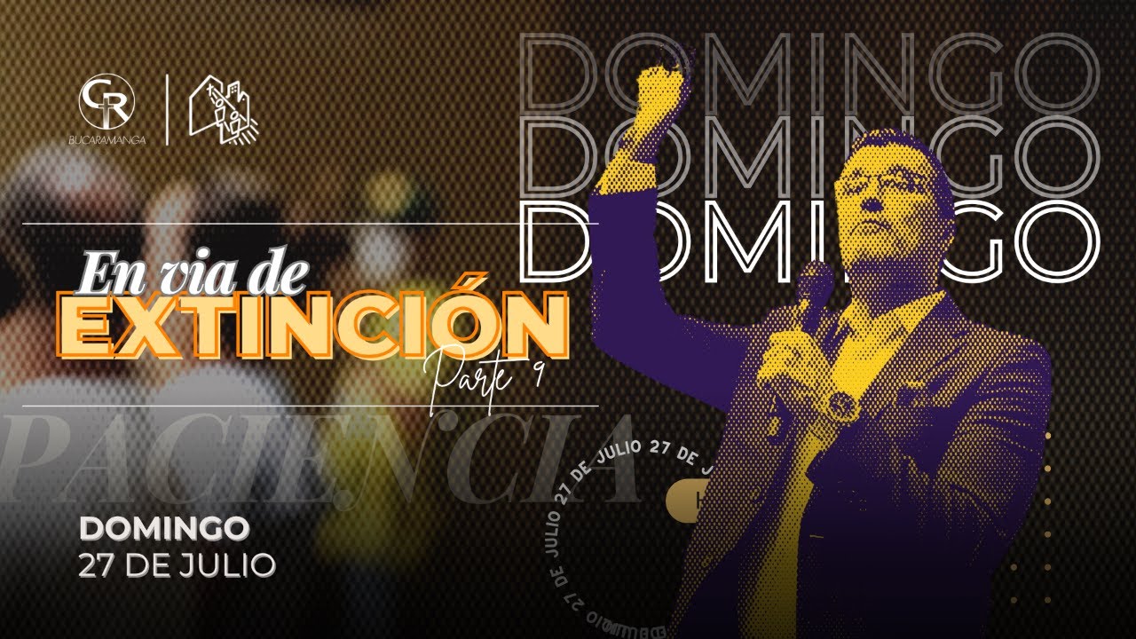DOMINGO EN CASA - SERIE EN VÍA DE EXTINCIÓN PARTE 9: PACIENCIA - PS ...