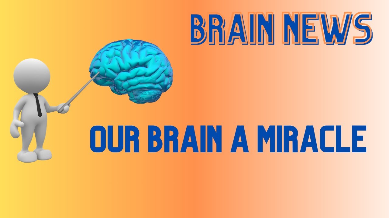 How Your Brain Really Learns – The Evolution of Learning Explained ...
