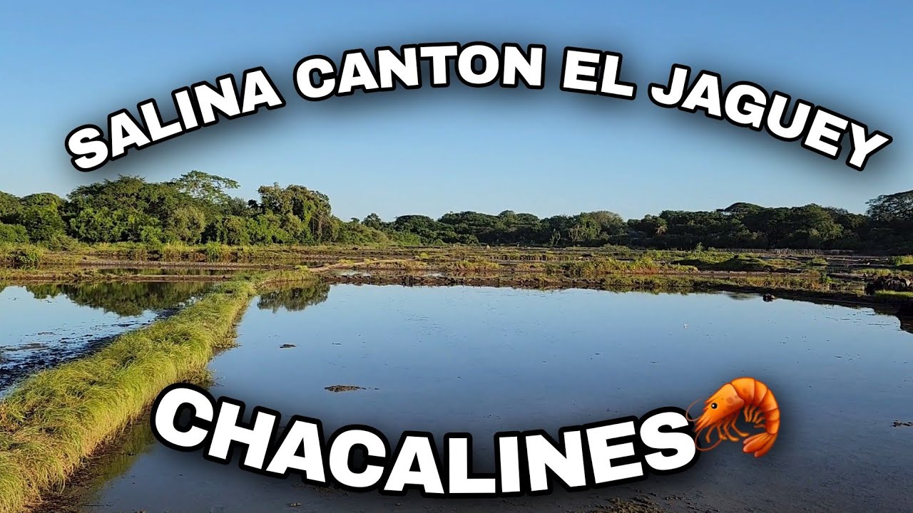 En busca De Chacalines En La Salina Cantón El Jaguey Chonchagua La ...