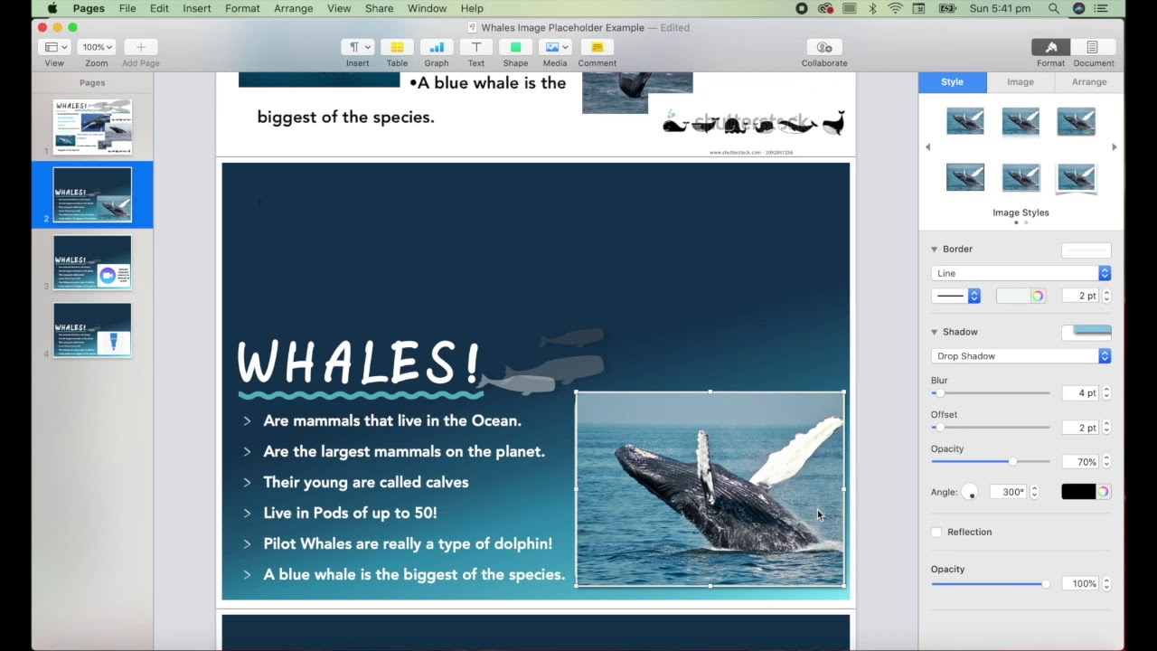 How to Create Placeholders on Macbook and iPad and Why we can use them ...