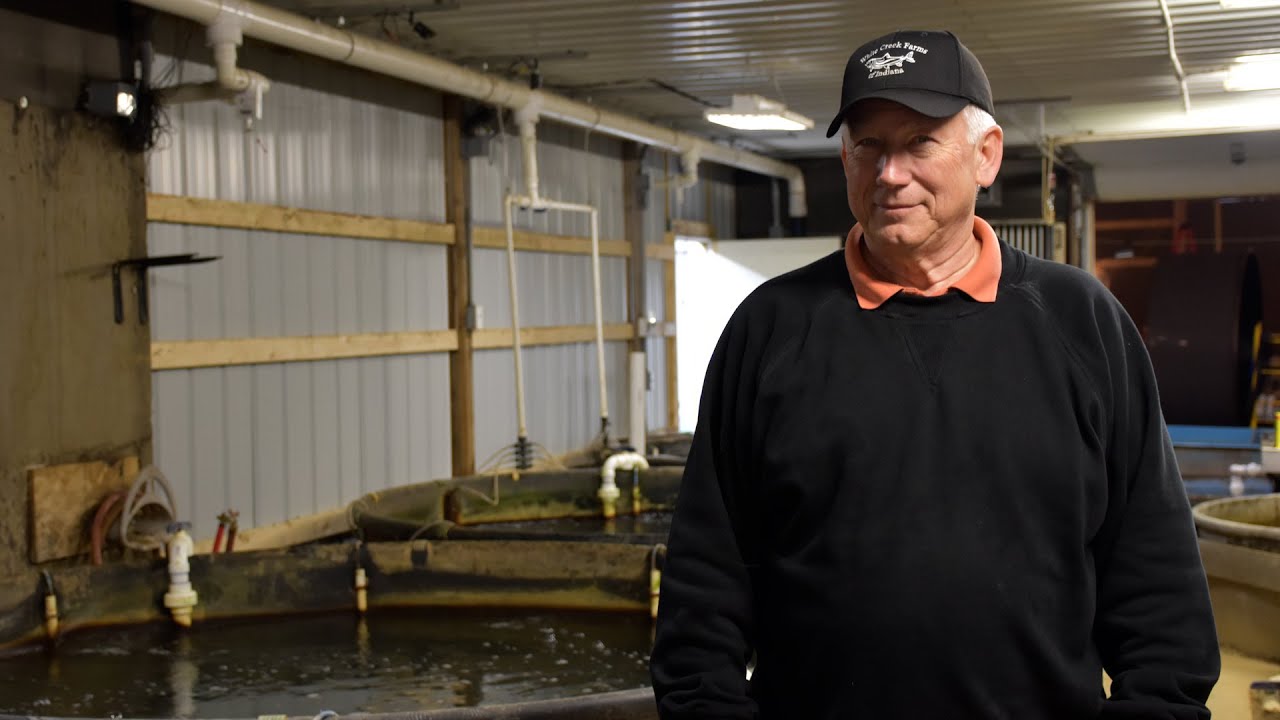 Local Farmers, Local Fish: Rainbow Trout - YouTube