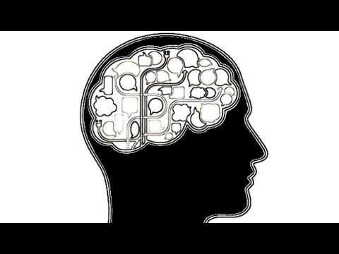 Noam Chomsky - Universal Grammar II - YouTube