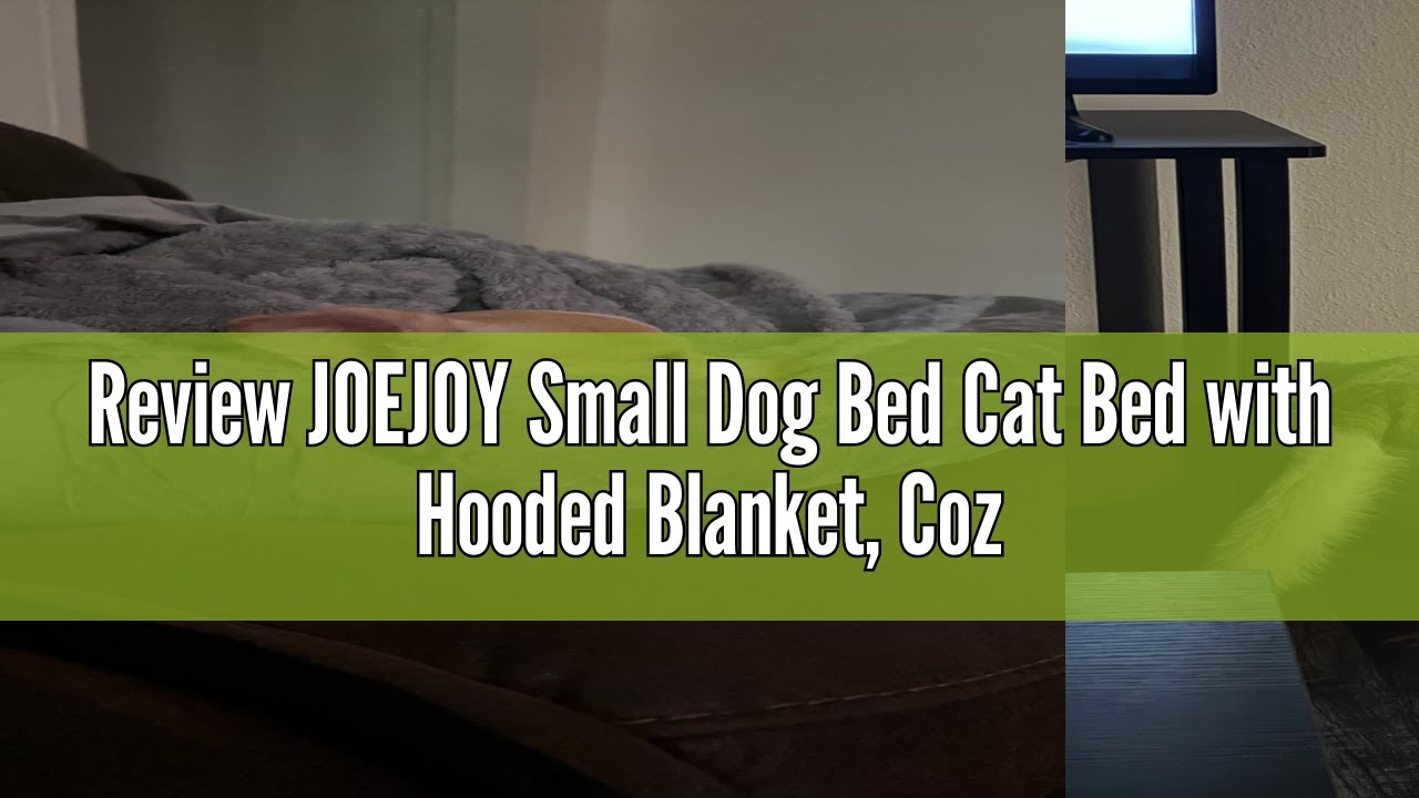 Review JOEJOY Small Dog Bed Cat Bed with Hooded Blanket, Cozy Cuddler ...