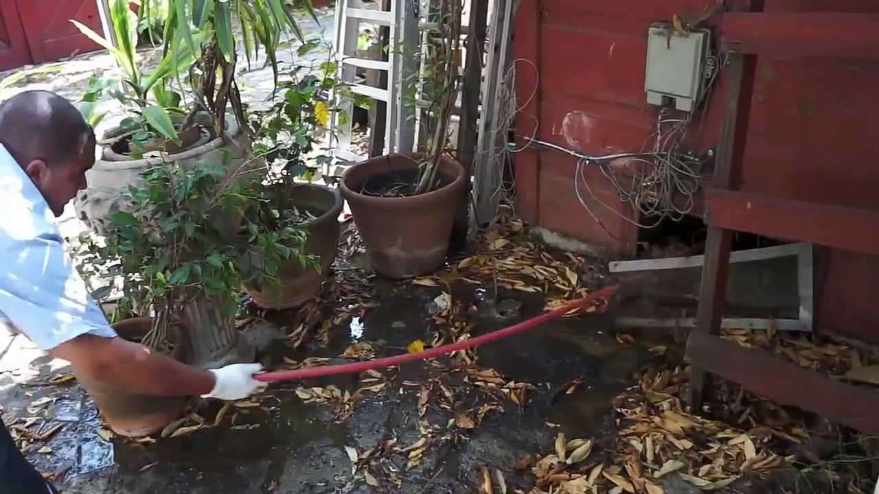 Express-plumbing-and-rooter - YouTube