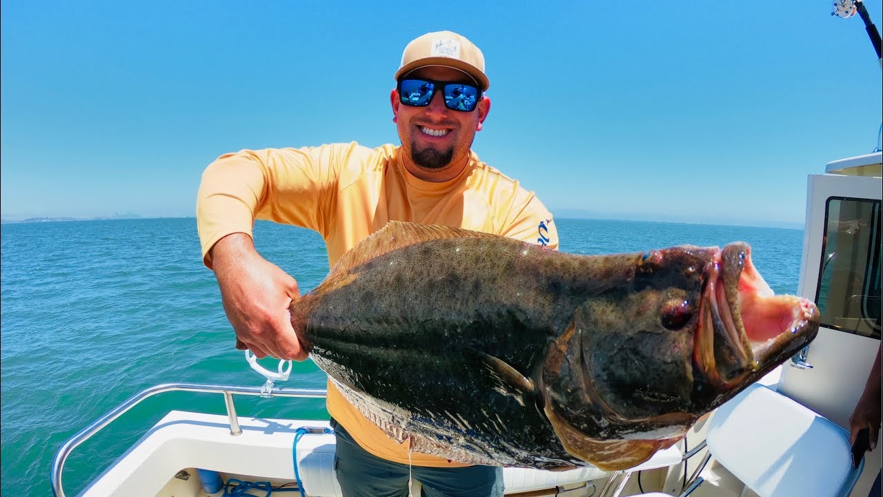 BEST WAY to catch Halibut in the BAY | Mexican Style Ceviche {CATCH ...