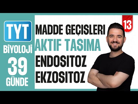 Aktif Taşıma Endositoz Ekzositoz Konu Anlatımı | 39 GÜNDE AYRINTILI TYT BİYOLOJİ KAMPI 2026-27 | 13