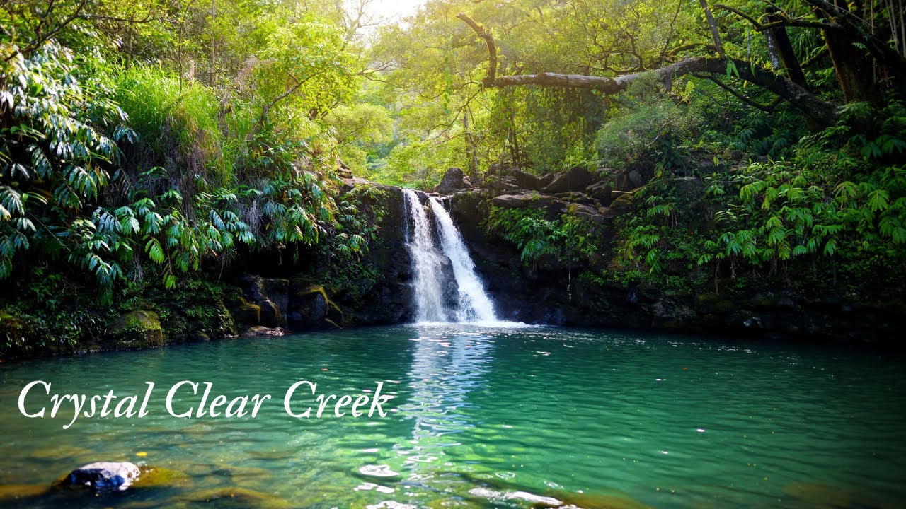 Crystal Clear Creek | Splash | Water Sounds - YouTube