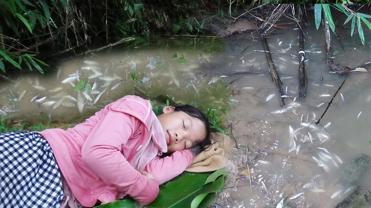 Orphan Life Harvesting fish go to the market to sell - Homeless Girl ...