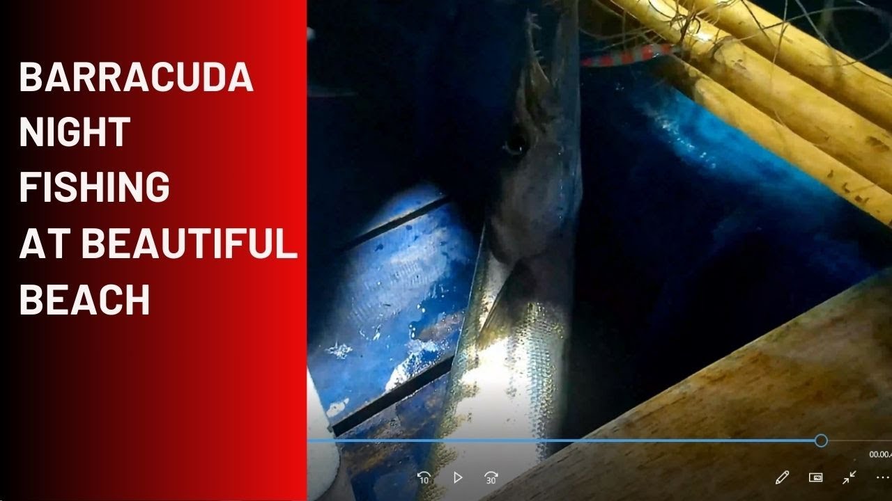 🔴 How to fish moment. Catching barracuda fish at night. The best ...