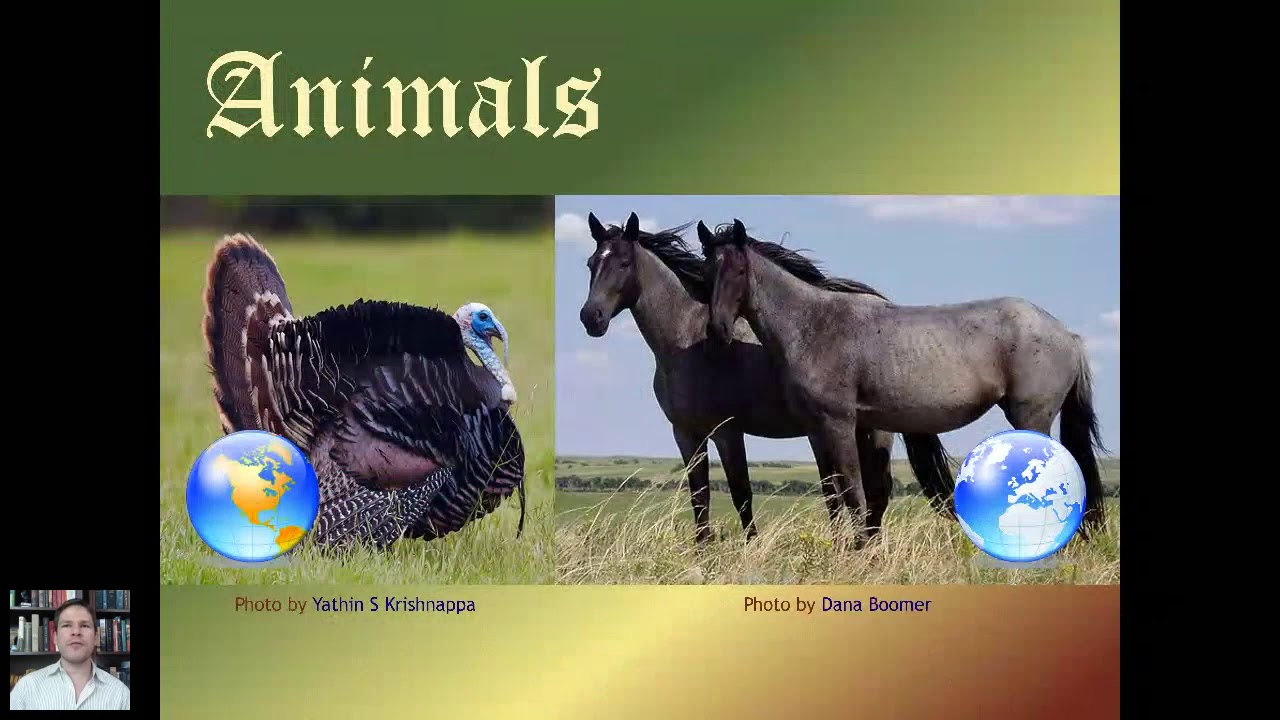 APUSH - Unit 1: The Columbian Exchange | Fiveable Cram Archive
