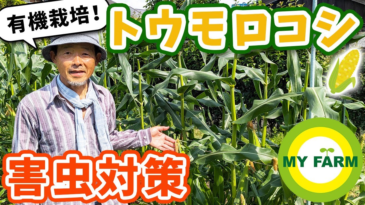 株式会社マイファーム