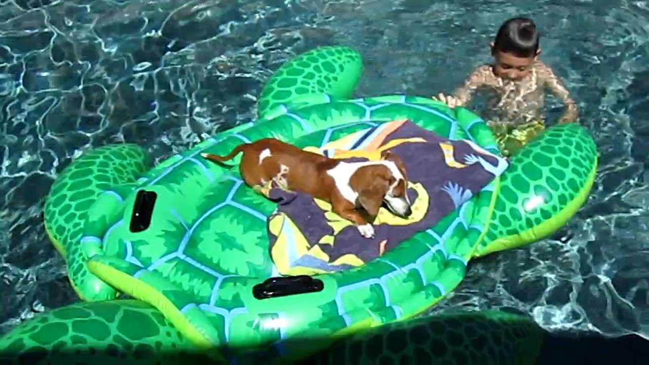 Chloe in the Pool - YouTube