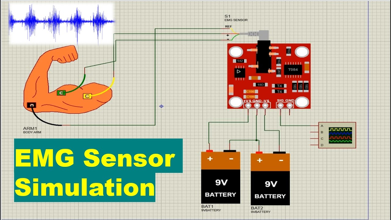EMG Electromyography SENSOR Simulation in Proteus EMG ECG EKG ...