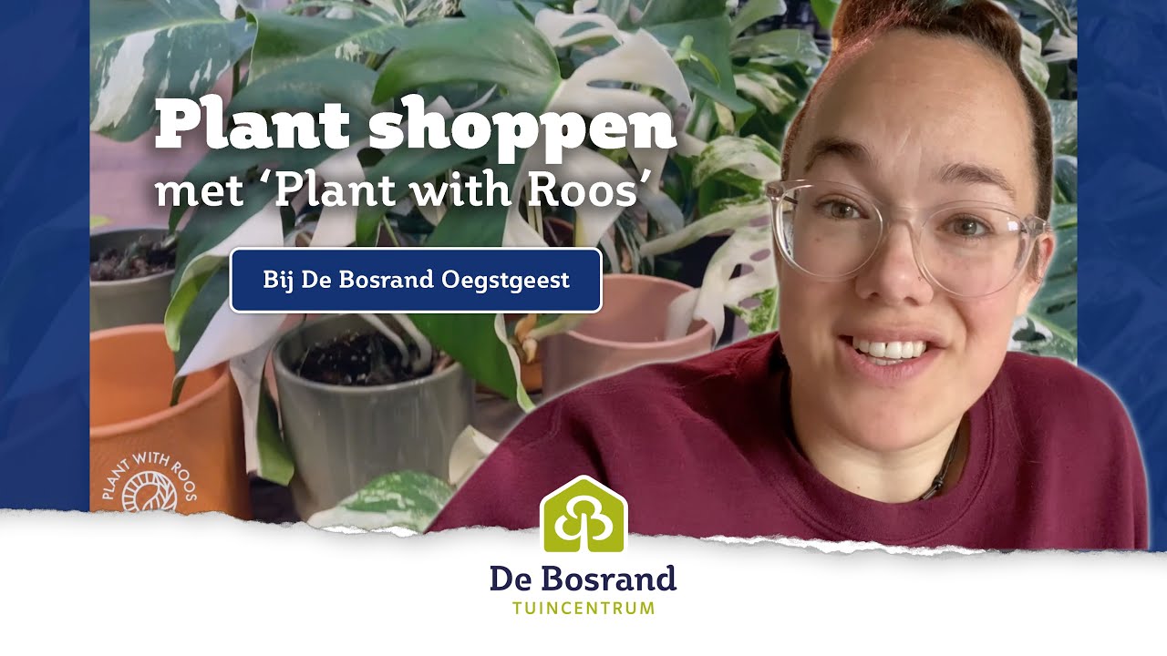Planten shoppen met 'Plant with Roos' bij De Bosrand Oegstgeest | De ...