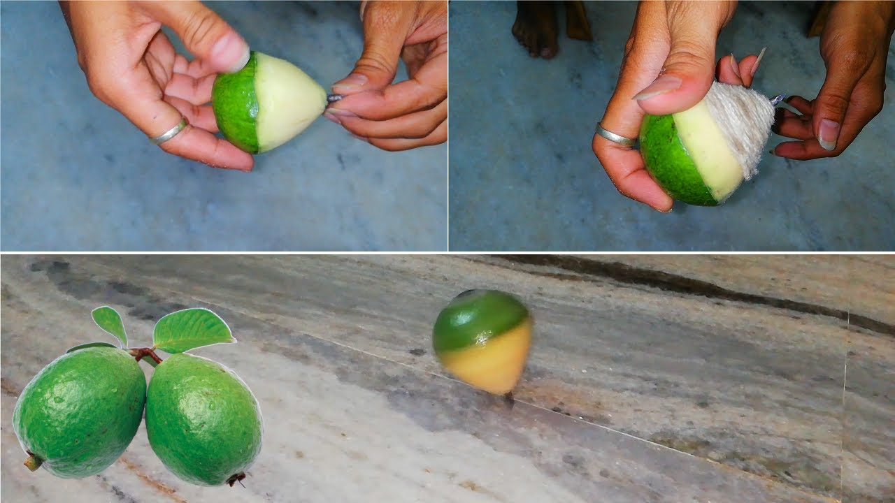 How To Make Spintop Spinner With Guava DIY | Amazing Spintop Diy Toy ...