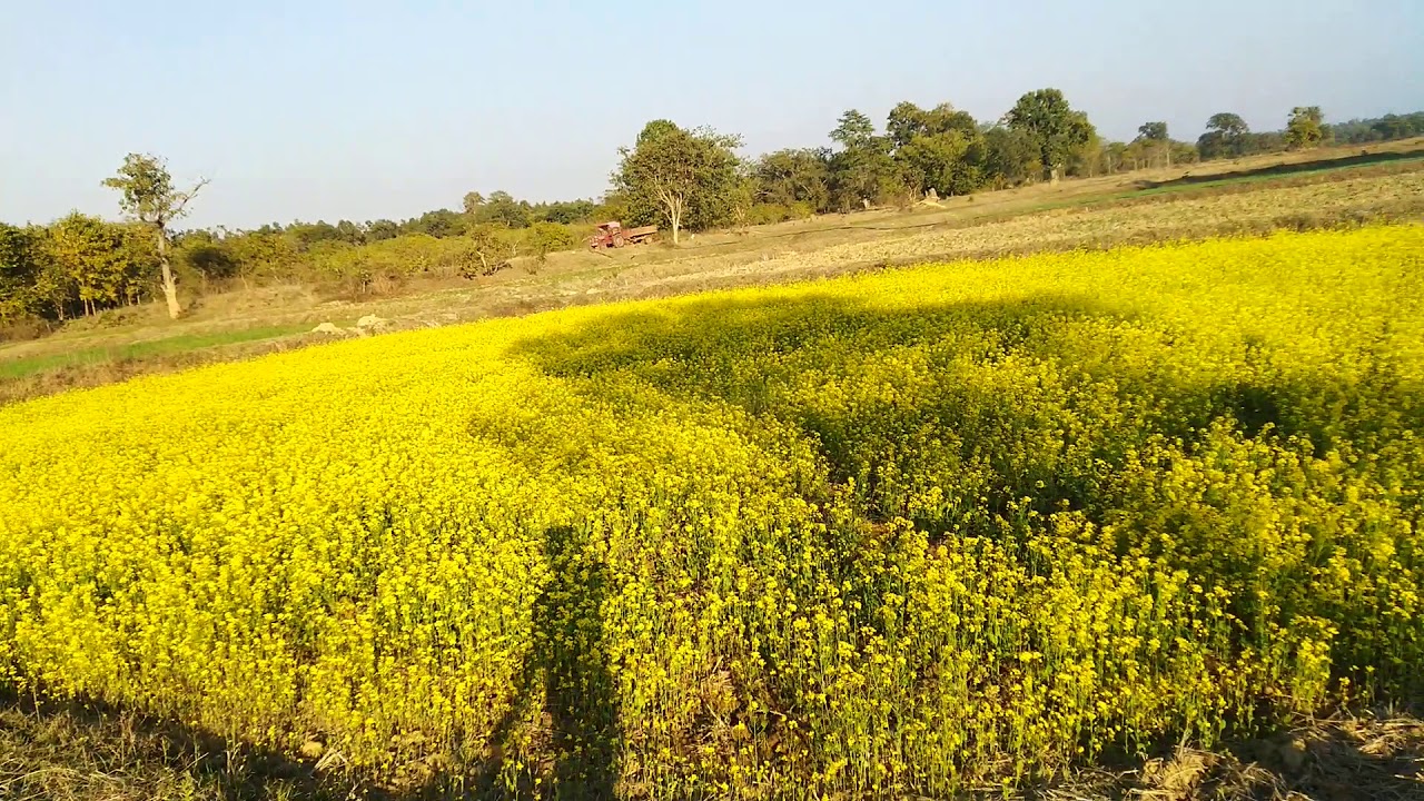 Radha kanta farm - YouTube